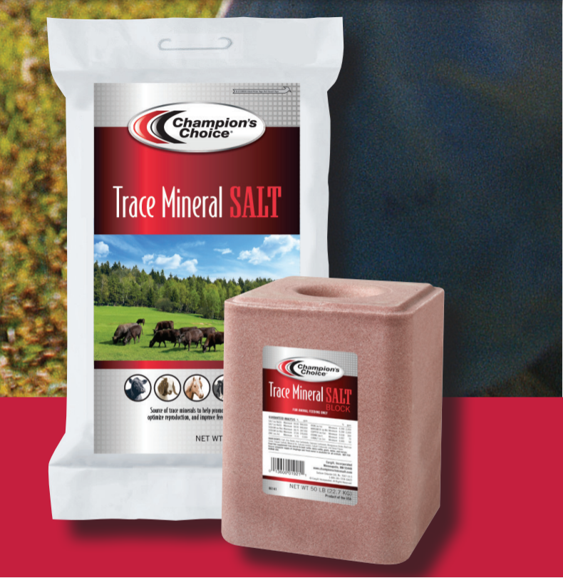 Cargill Champion’s Choice® Trace Mineral Salt - Pittsburgh, PA - Pittsburgh Agway