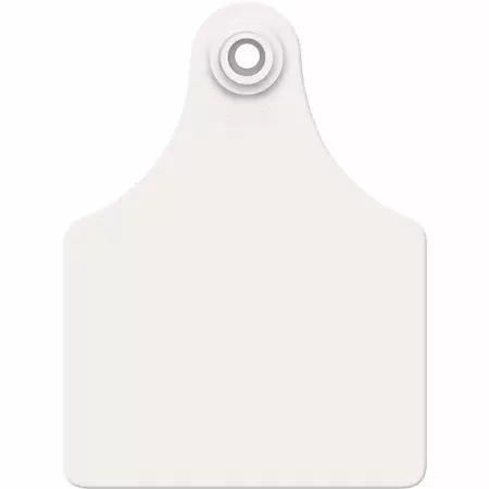 Allflex Cattle Blank Ear Tags White - Pittsburgh, PA - Pittsburgh Agway