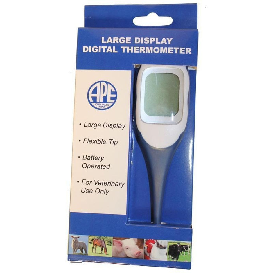 LARGE DISPLAY DIGITAL THERMOMETER F ONLY - Pittsburgh, PA - Pittsburgh ...