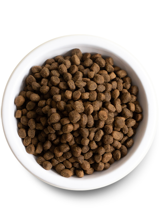 Open Farm Ancient Grains High-Protein Puppy Food - Pittsburgh, PA ...