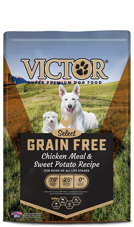 Victor Pet Grain Free Chicken Meal & Sweet Potato Recipe - Pittsburgh ...