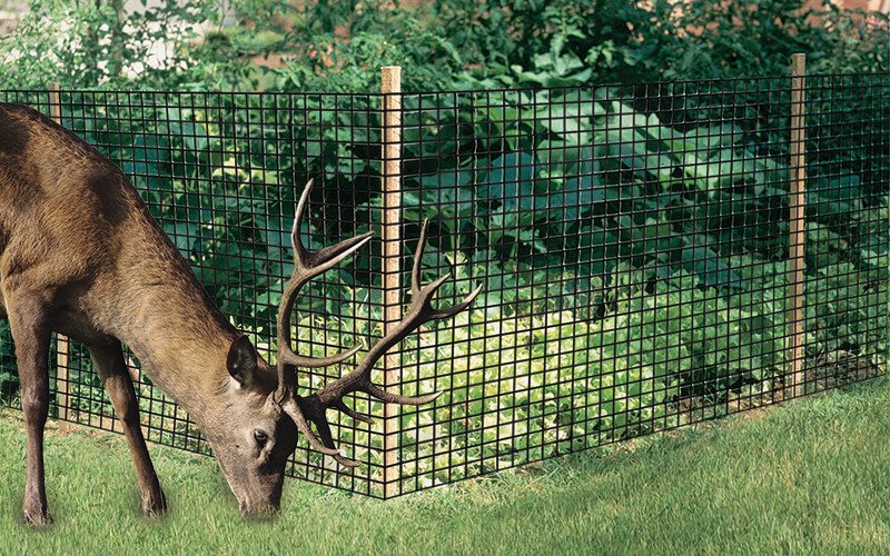 Dalen Deer-X Landscaping Protective Netting - Pittsburgh, PA ...
