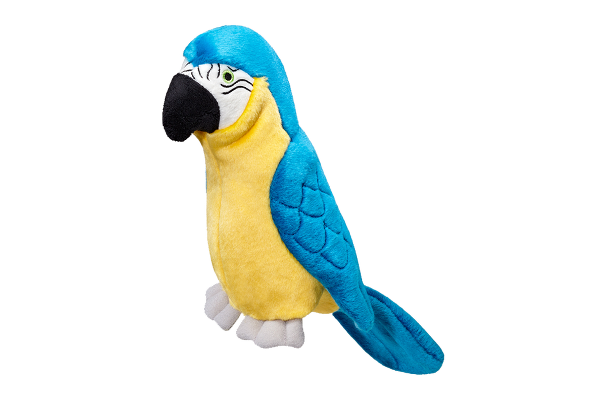 Fluff & Tuff Jimmy Parrot - Pittsburgh, PA - Pittsburgh Agway